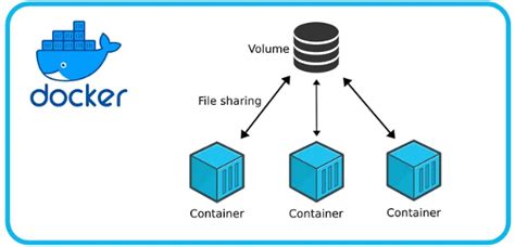 Way To Retain Iris Data In Docker Container For Long Duration