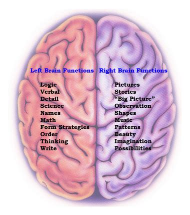 MIND POWER And THOUGHT TREASURES Left And Right Side Of The Brain Functions