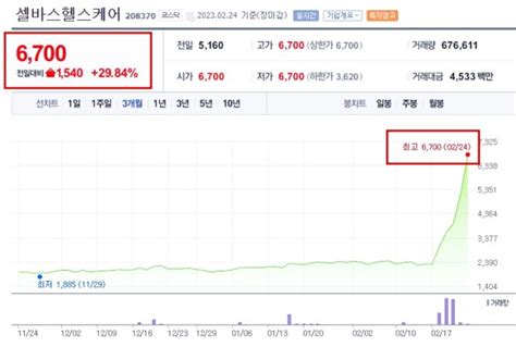 셀바스헬스케어 주가 셀바스ai와 동반 상승 인공지능 관련주