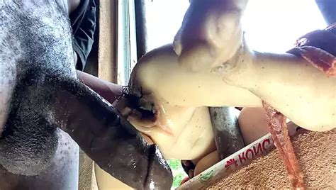 Archita Phukan Mms Virales Video Bald Archita Phukan Xxx Virale Mms Assam XHamster