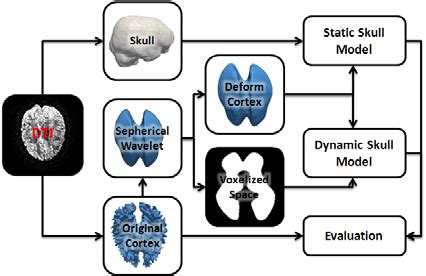 The Flowchart Of The Model And Simulation Download Scientific Diagram