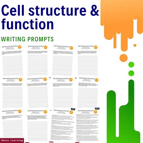 Cell Structure And Function Matching Worksheets Biology Activity