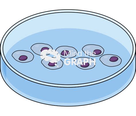 Free 2d Cell Culture Icons Symbols Pictures And Images Mind The Graph