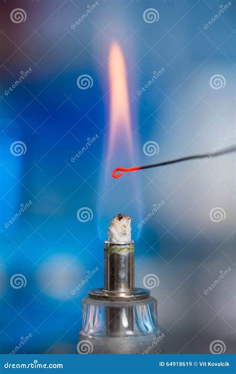 Microbiological Inoculation Loop In A Flame Stock Image Image Of Glow
