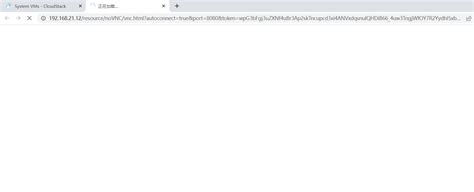 Novnc Cannot Be Accessed Through A Browser · Issue 7481 · Apache