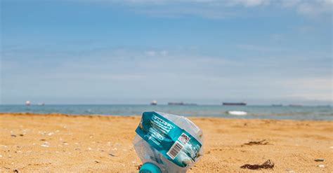 有关türkiye的 乱扔垃圾 伊斯坦堡 伊斯坦布尔海滩 保護 全球暖化 公众意识 可持续生活 土耳其海岸线 城市垃圾 塑料回收 塑料垃圾 塑料污染 塑料污染物