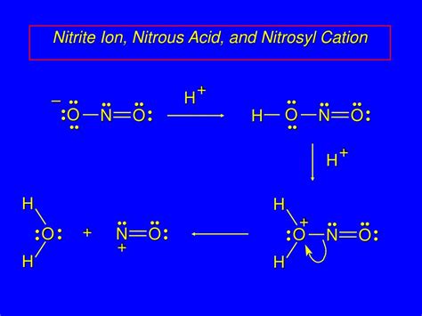 Ppt 2216 Nitrosation Of Alkylamines Powerpoint Presentation Free