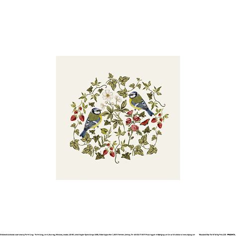 Tall Boy Prints Woodland Blue Tits Art Print The Art Group