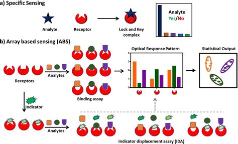 Schematic Representation Of Specific Sensing And Array‐based Sensing Download Scientific