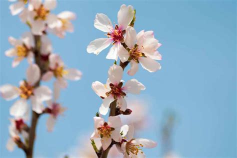 Yaletown Environmental Allergy Testing Allergy Testing