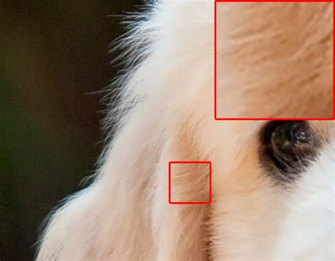 Image Scaling Using Deep Convolutional Neural Networks Rprogramming