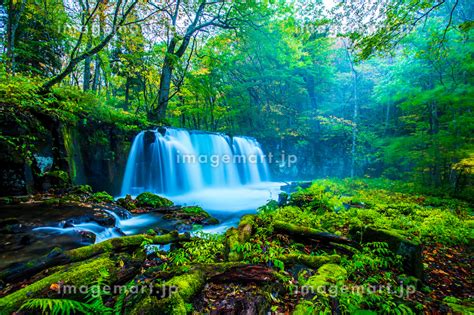 青森県 秋の奥入瀬渓流銚子大滝の写真素材 263061513 イメージマート