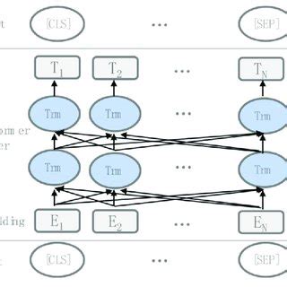 Structure Of BERT Model Download Scientific Diagram