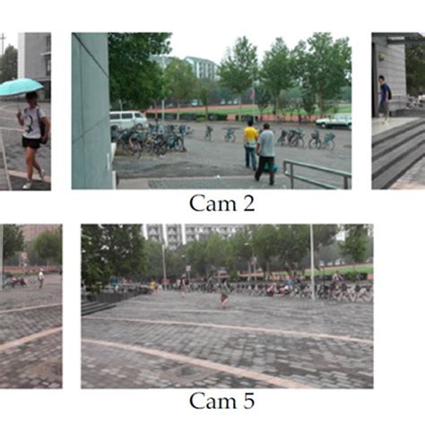 Example Images Captured By Six Cameras In The Prw Dataset 70