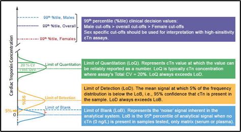 All You Need To Know About Troponin Measurements