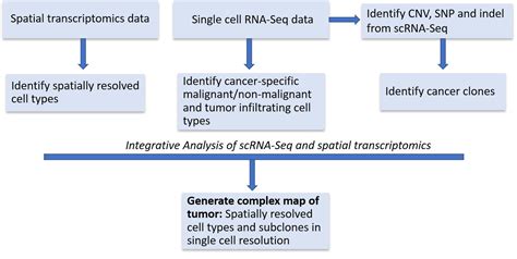 Inference Of Clonal Copy Number Alterations From Rna Sequencing Data