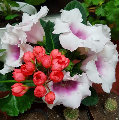 Уут сав баглаа боодол хайрцагны захиалга Home Facebook