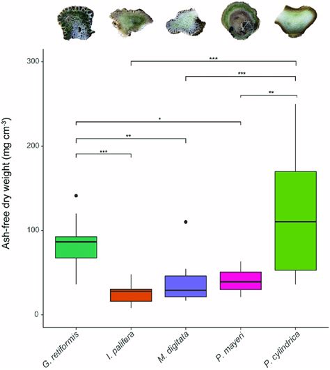 Endolithic Microbial Biomass Measured As Ash Free Dry Weight In Mg Cm Download Scientific