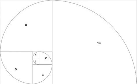 A Sequência De Fibonacci Na Natureza Blog Universo Narrado