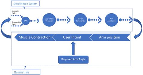 Flowchart Of Exoskeleton Operation Download Scientific Diagram