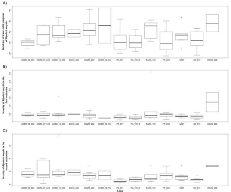 Distribution Of Popcorn Lines As Regards Resistance To Southern Corn Download Scientific