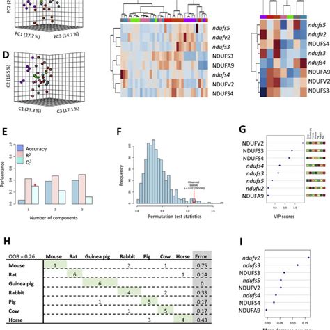 Multivariate Statistics Reveals A Species Specific Gene Expression And Download Scientific