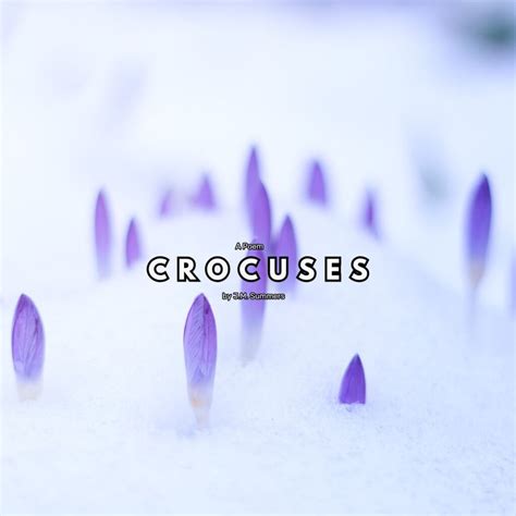 Imply Vs Infer Understanding The Difference And Using Them Correctly Everywriter Imply Vs Infer Understanding The Difference And Using Them Correctly Everywriter