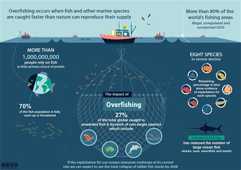 Pin On Infographic