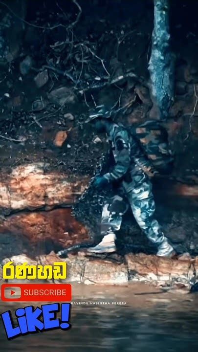 නම ඇහුනත් මුහුදු කොටි බයවුනු අපේ Sbs සෙබළු Special Training Sbs Soldiers Shorts Short Viral