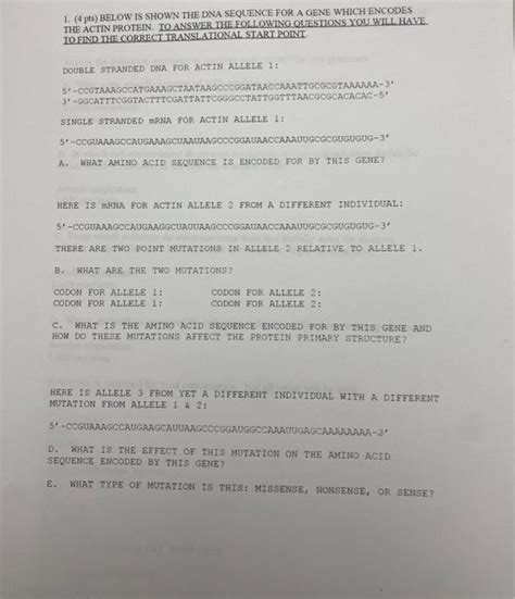 Solved Pts BELOW IS SHOWN THE DNA SEQUENCE FOR A GENE Chegg Com