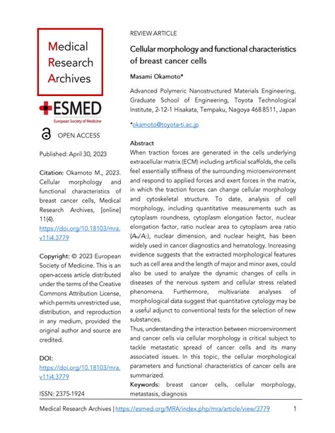 Pdf Cellular Morphology And Functional Characteristics Of Breast