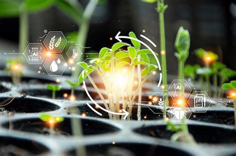 Premium Photo The Concept Of Using Ai And Smart Farming