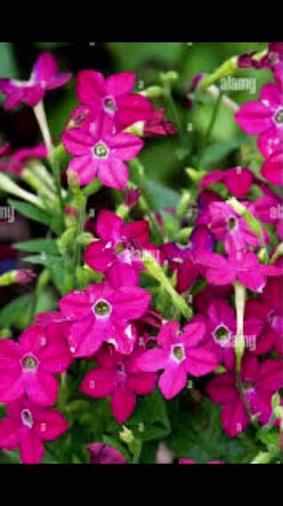 Arslan Shafiq Uz Zaman On Linkedin Creation Almighty Righteous