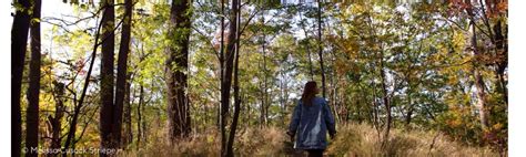 Melissa Cusack Striepe On Linkedin My Time On The Ontario Nature Youth Council Taught Me About