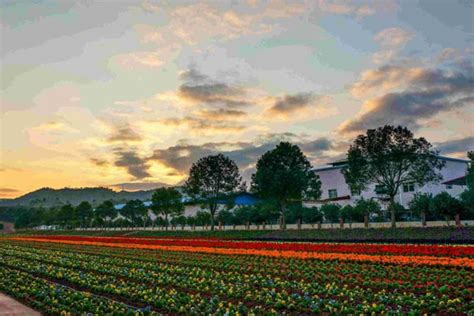 2023内蒙古曼陀山庄门票 开放时间 景点介绍 旅泊网