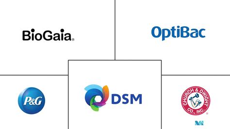 프로바이오틱스 식이보충제 시장 규모