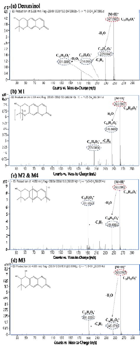 LC Q TOF MS Data Of Decursinol And Its Metabolites A Decursinol B Download Scientific