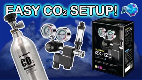 How To Setup Aquarium C02 System Dymax Co2 Setup Youtube