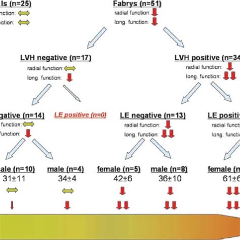 Clinical Algorithm To Classify Patients With Fabry Disease According To