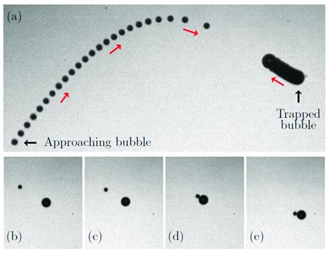 a bubble trajectories prior to the contact a first bubble right download scientific diagram