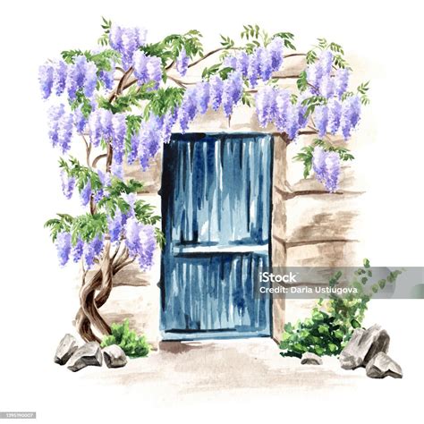 오래된 문과 위스테리아 꽃 나무 흰색 배경에 고립 된 손으로 그린 수채화 그림 여름에 대한 스톡 벡터 아트 및 기타 이미지 여름 정원 0명 Istock