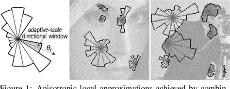 Figure 1 From Anisotropic Local Approximations For Pointwise Adaptive