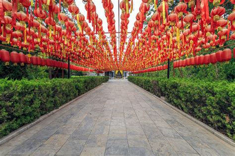 灯笼通道图片素材 灯笼通道设计素材 灯笼通道摄影作品 灯笼通道源文件下载 灯笼通道图片素材下载 灯笼通道背景素材 灯笼通道模板下载 搜索中心