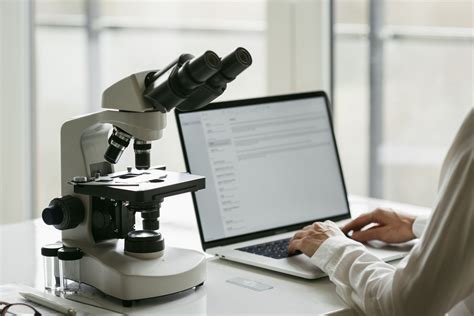 P11s Young Computer Scientists Biology The Learning Lab