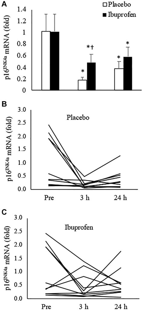 Victor Björk On Linkedin Senolytic Effects Of Exercise In Human