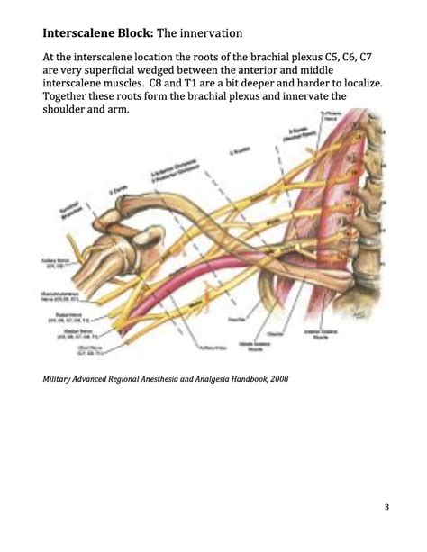 Interscalene Block — Highland Emergency Ultrasound