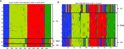 Hierarchical Bayesian Analysis Of Population Structure Hierbaps Of