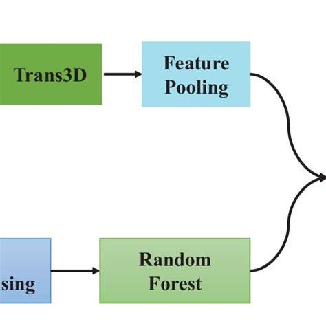 Pipeline Of The Proposed Method The Preprocessed Fmri Data Is Sent