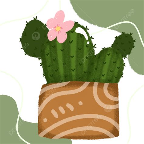 선인장 벡터 선인장 그림 선인장 만화 만화 선인장 Png 일러스트 및 Psd 이미지 무료 다운로드 Pngtree