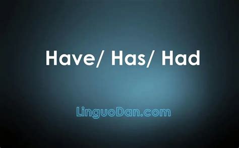 What Is The Difference Between Have Has And Had In English LinguoDan